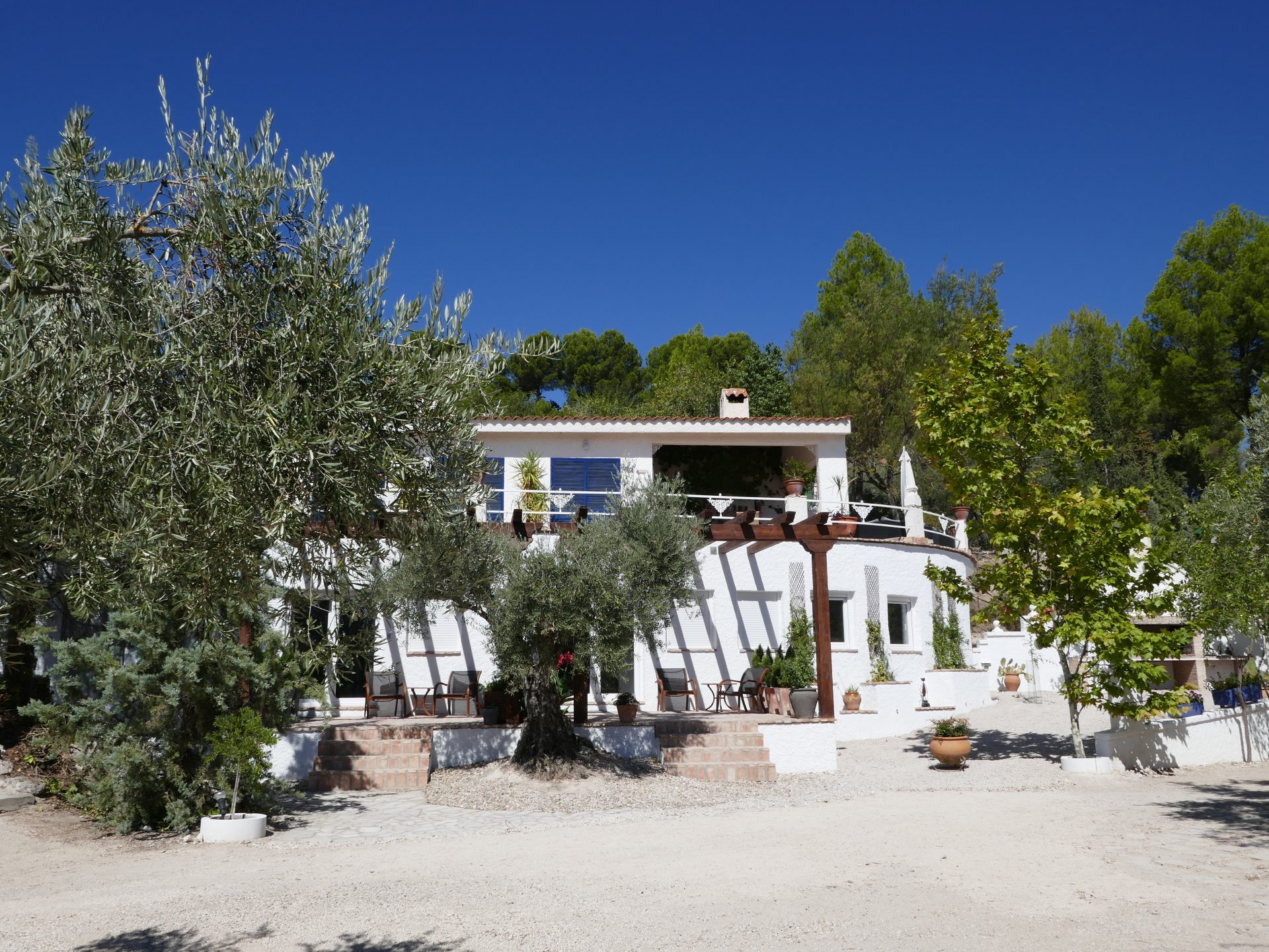 Sobre Nosotros - Los Mofletes